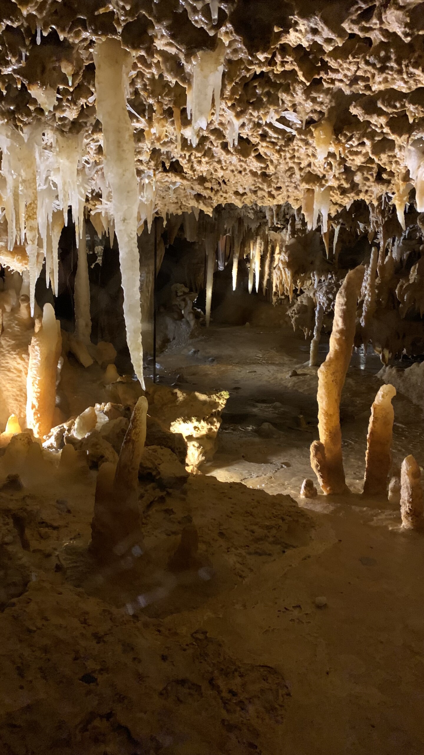 De grotverkenners: wat is recht eigenlijk? – U-Talent